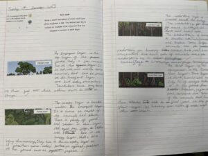 Our Beautiful World | Toner Avenue Primary