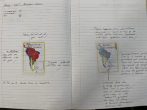 Our Beautiful World | Toner Avenue Primary