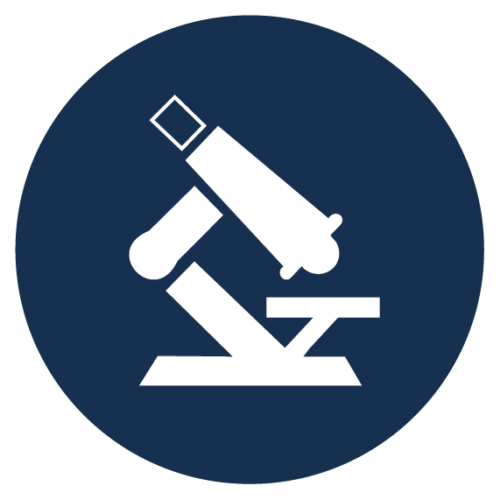 Subjects and Entry Requirements | UCL Academy