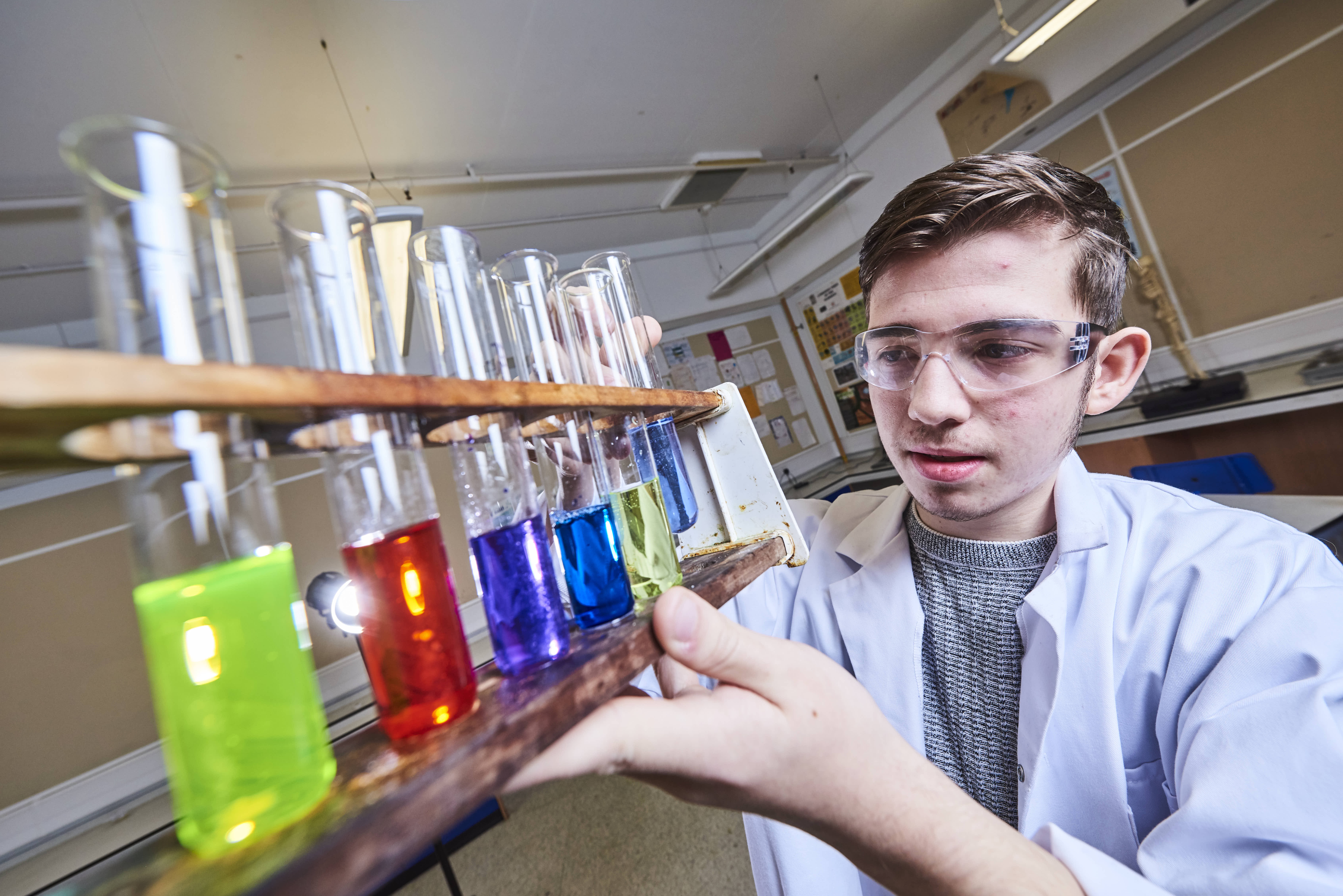 Study Vs. Revision: A guide - John Henry Newman