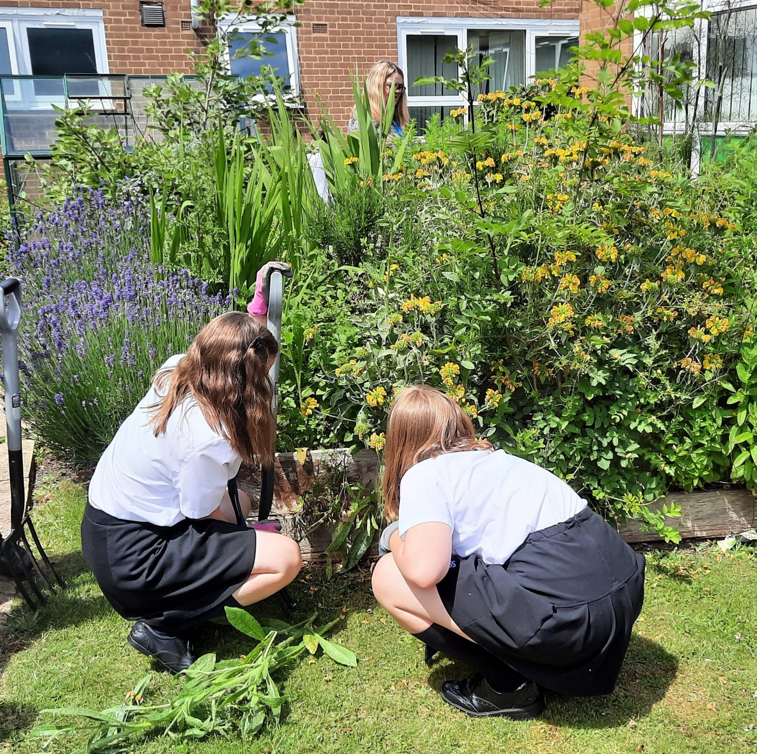 Year 8 Gardening Club | Shipston High School