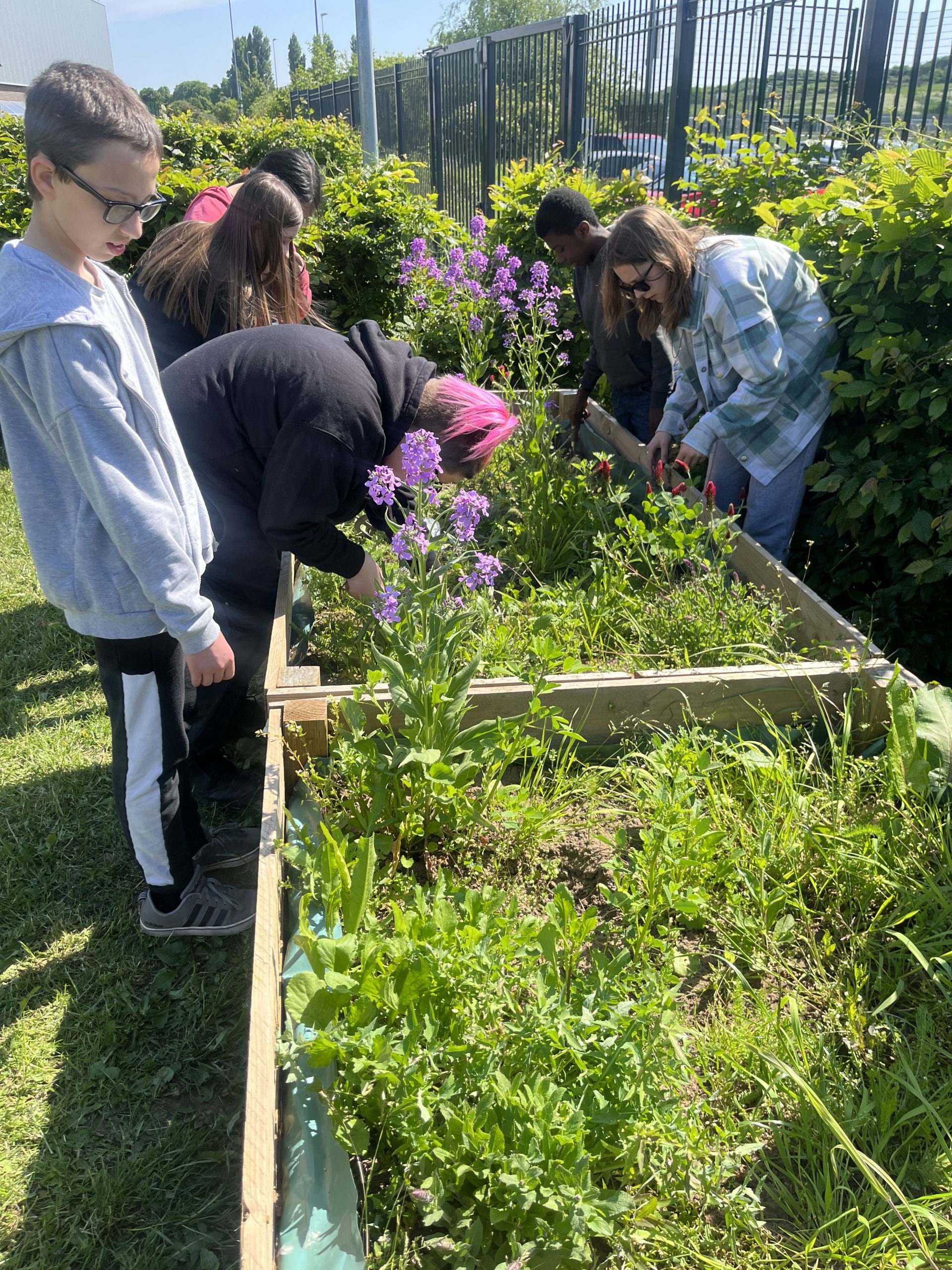 Students | XP School