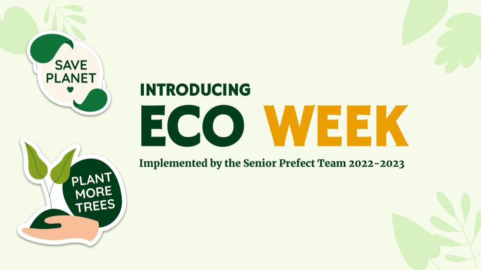 ECO Week Success | St Edmund's Catholic Academy