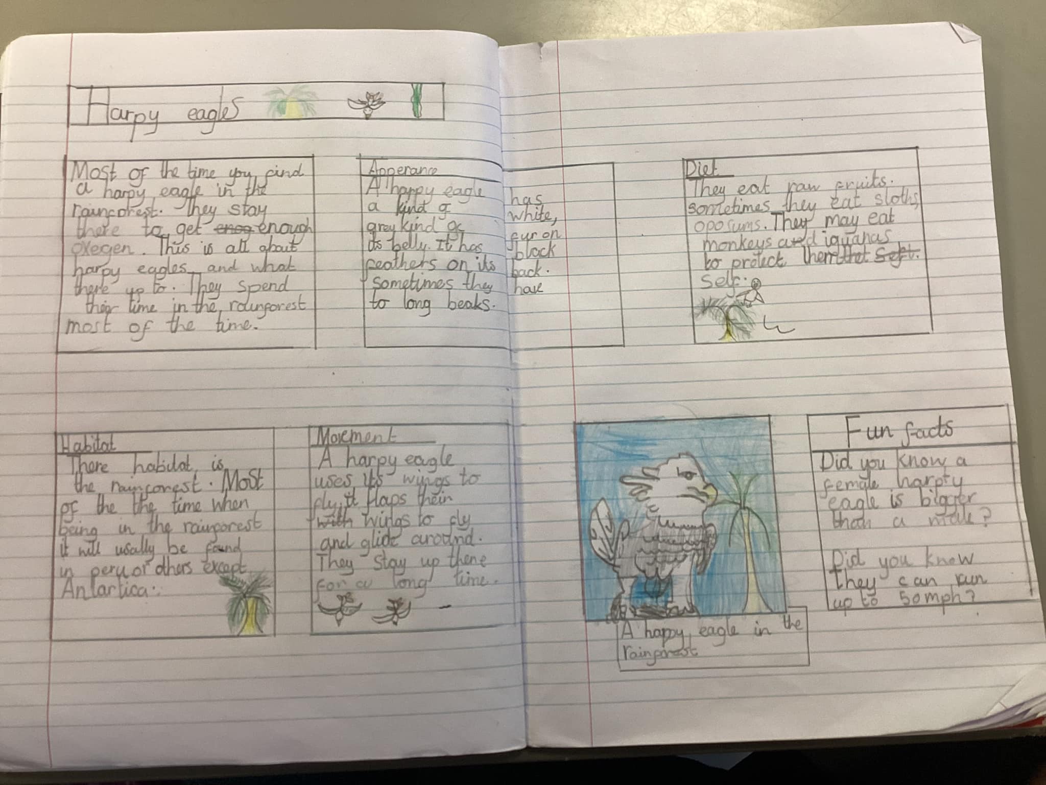 Year 3 Writing Superstars | St Teresa's Catholic Primary Academy