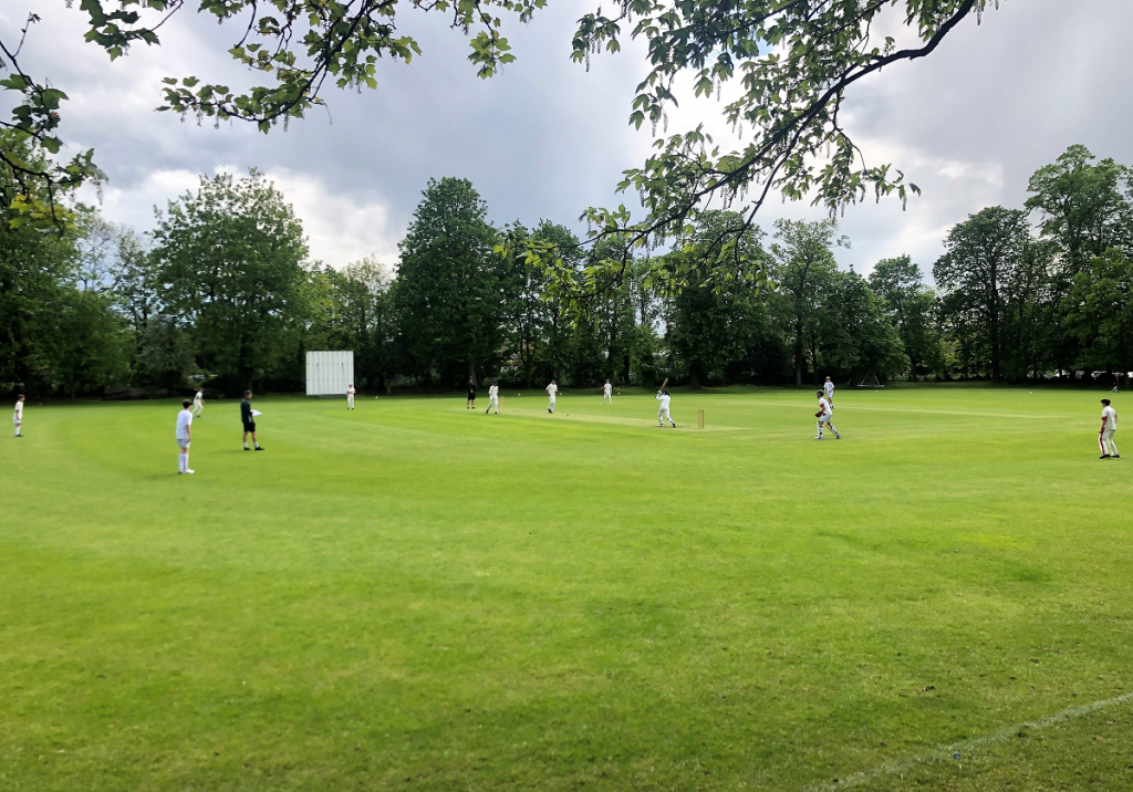 Well Done To Our Year 8 Cricket Team! | ENFIELD GRAMMAR SCHOOL