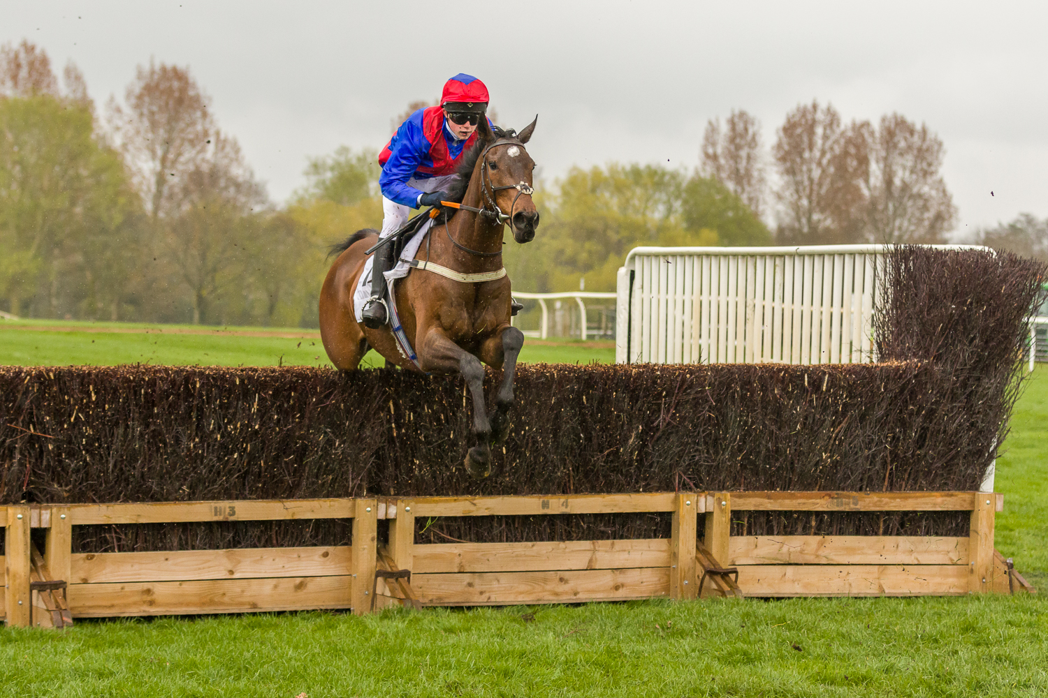 #StudentSpotlight: Archie Gubb Year 11 | ENFIELD GRAMMAR SCHOOL
