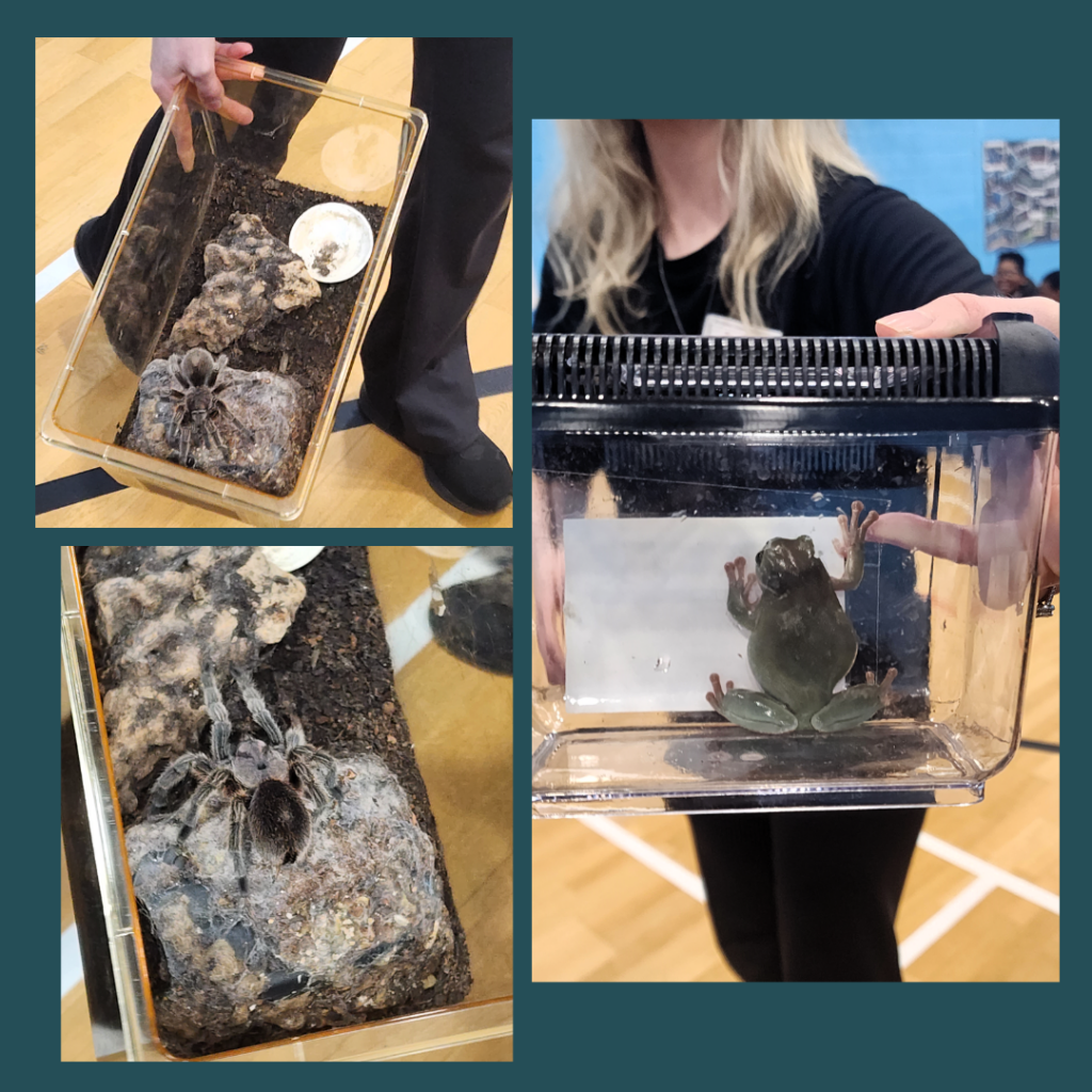 ZooLab Comes to Lower School | ENFIELD GRAMMAR SCHOOL