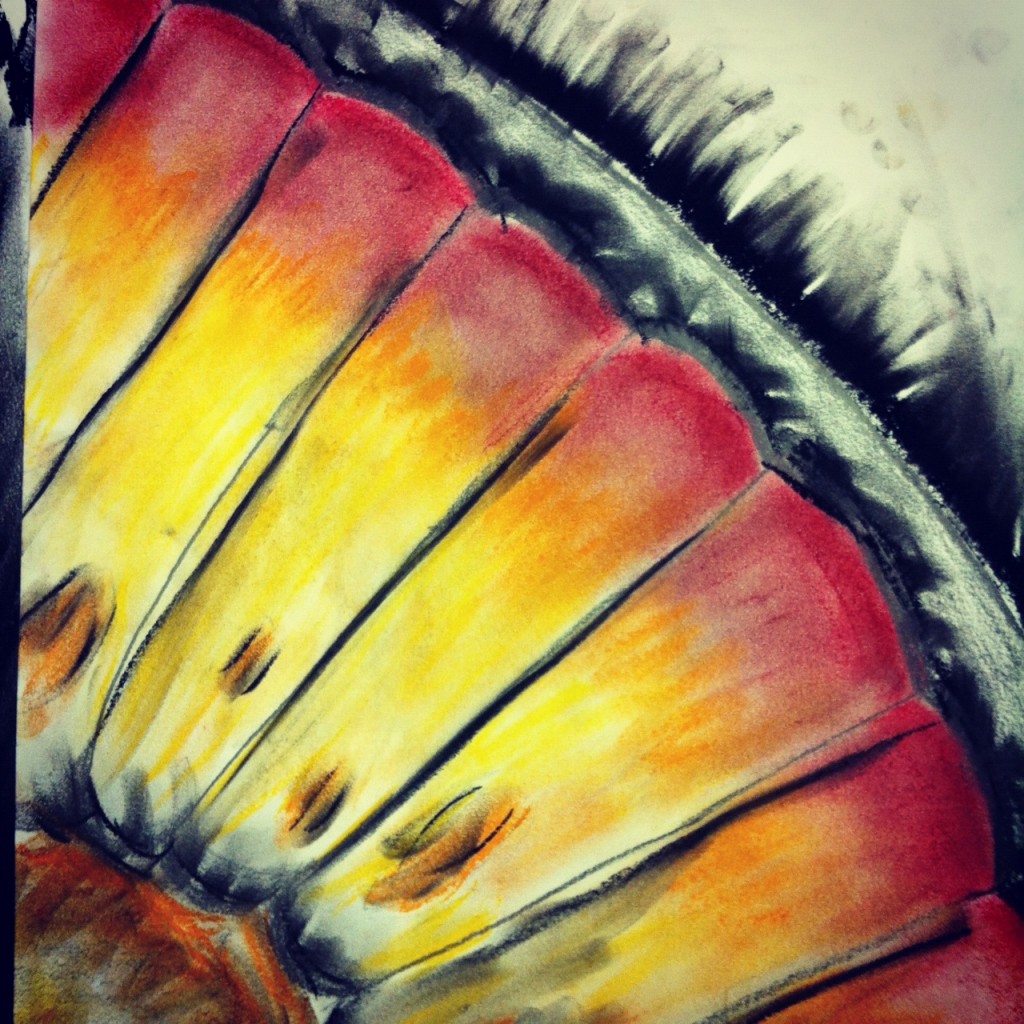 Year 10 Natural Form Drawings | Marden High School