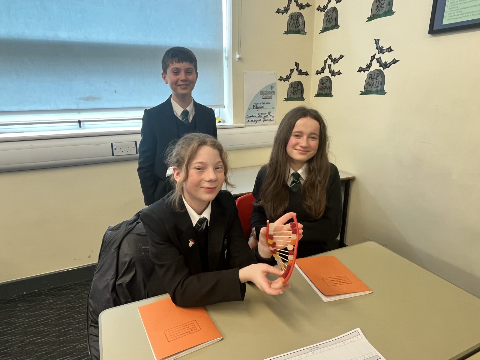 Modelling the Structure of DNA | Marden High School