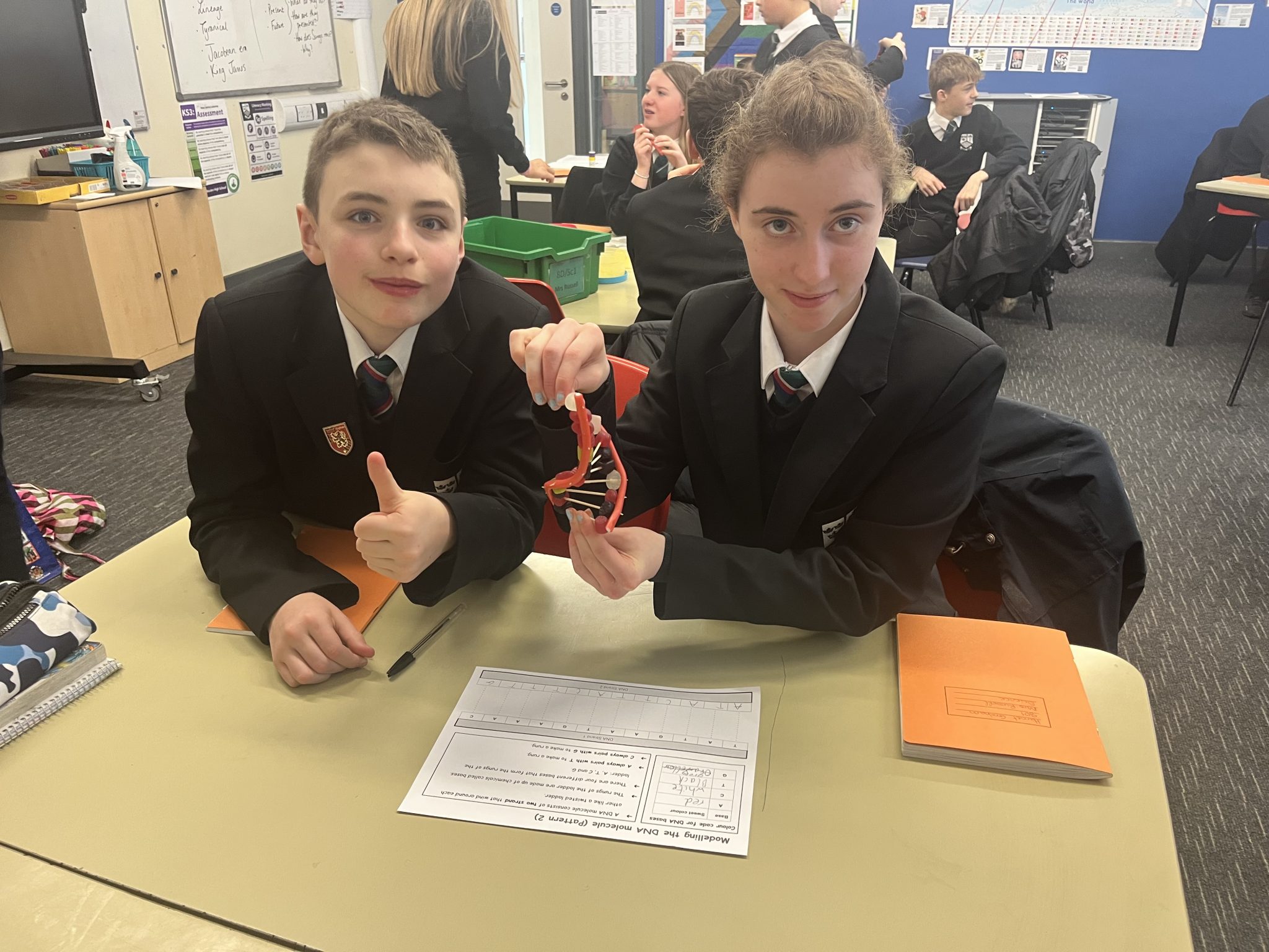 Modelling the Structure of DNA | Marden High School