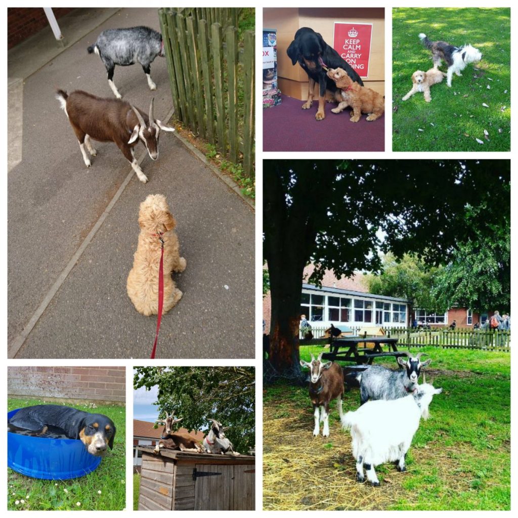 Gallery | Ansford Academy