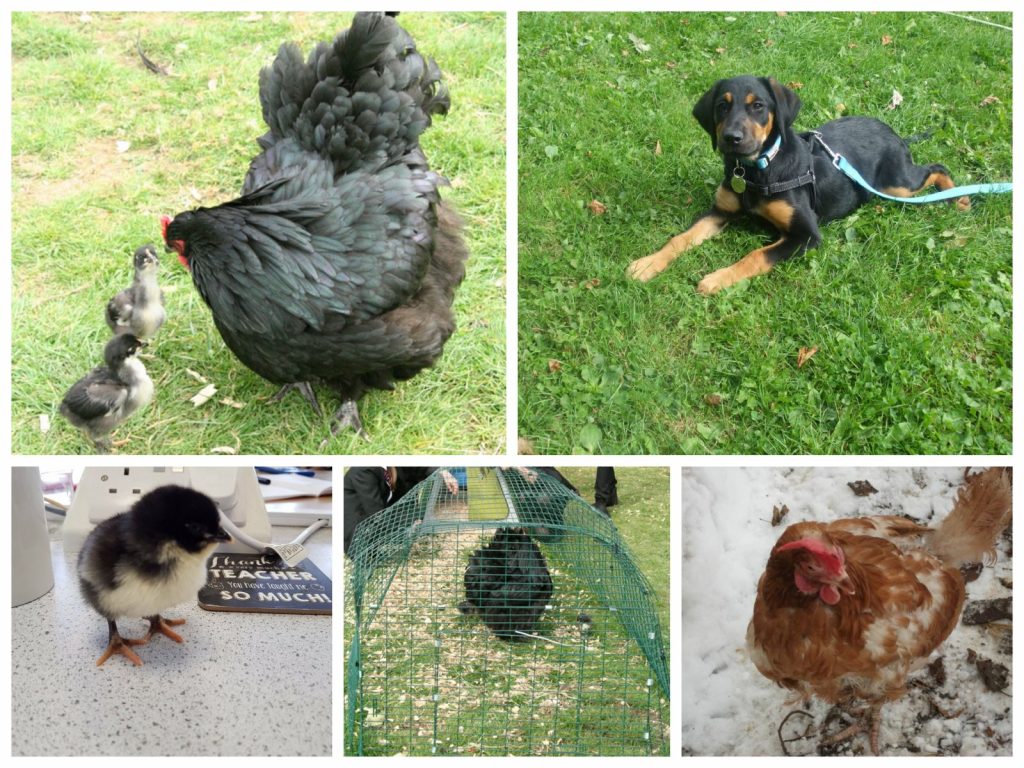 Gallery | Ansford Academy