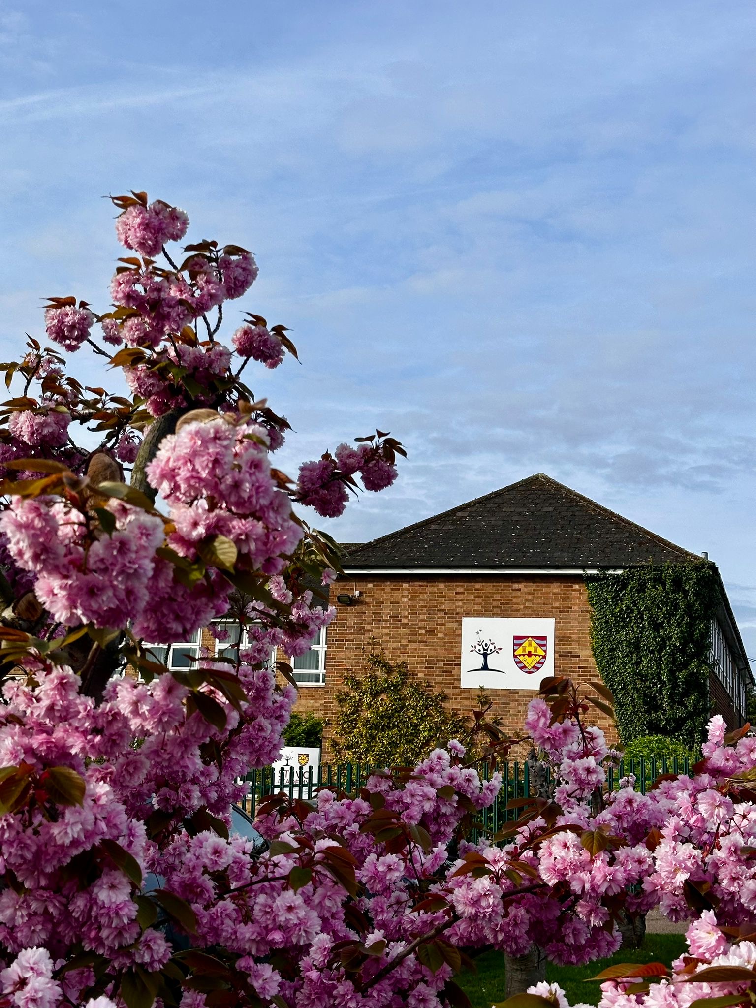 Welcome back - spring term begins - St Ivo Academy