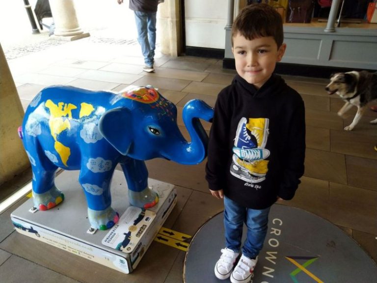 Wild In Art | Astwood Bank Primary School