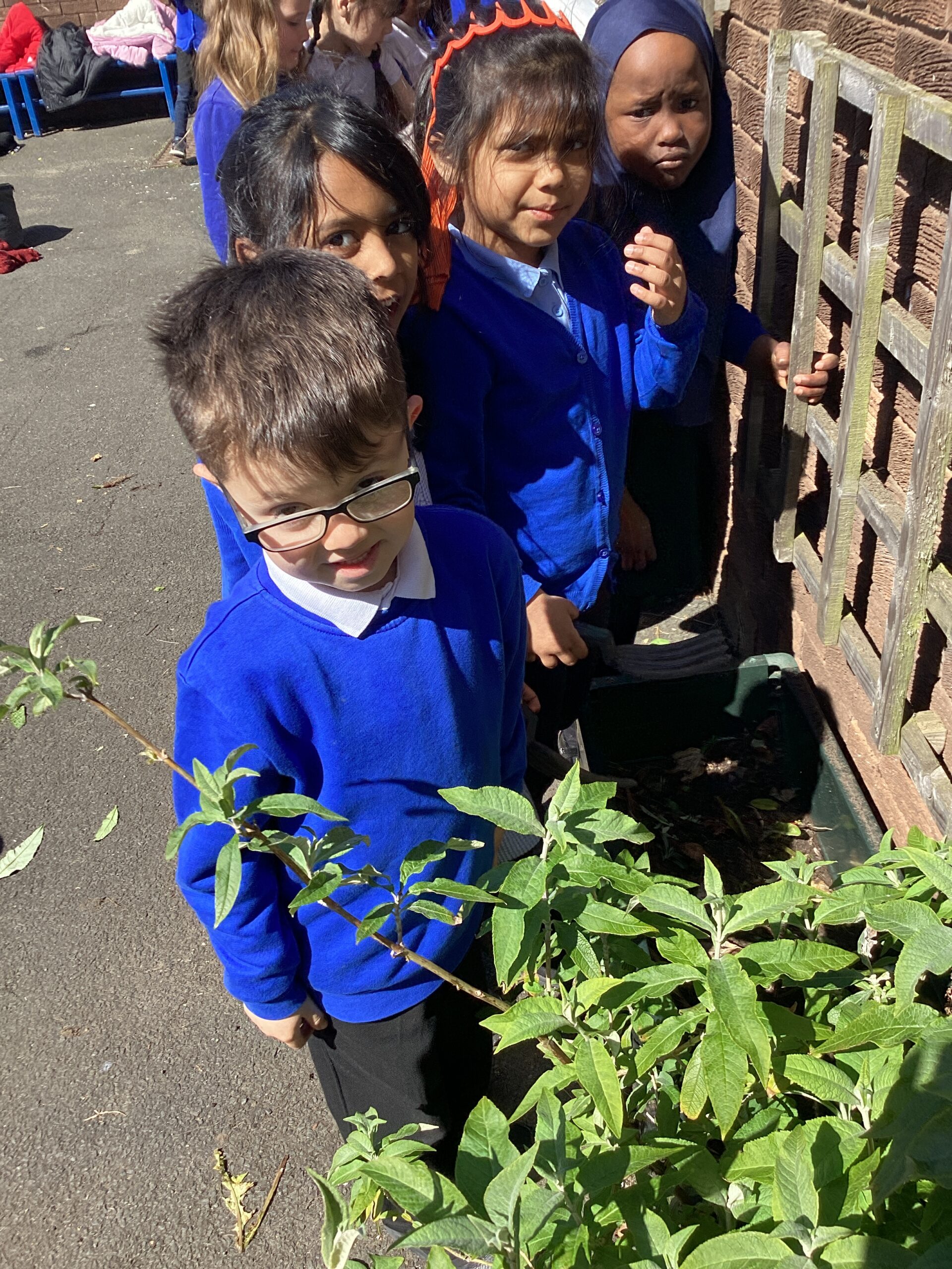 Year 1 Gardening | Marine Park Primary School
