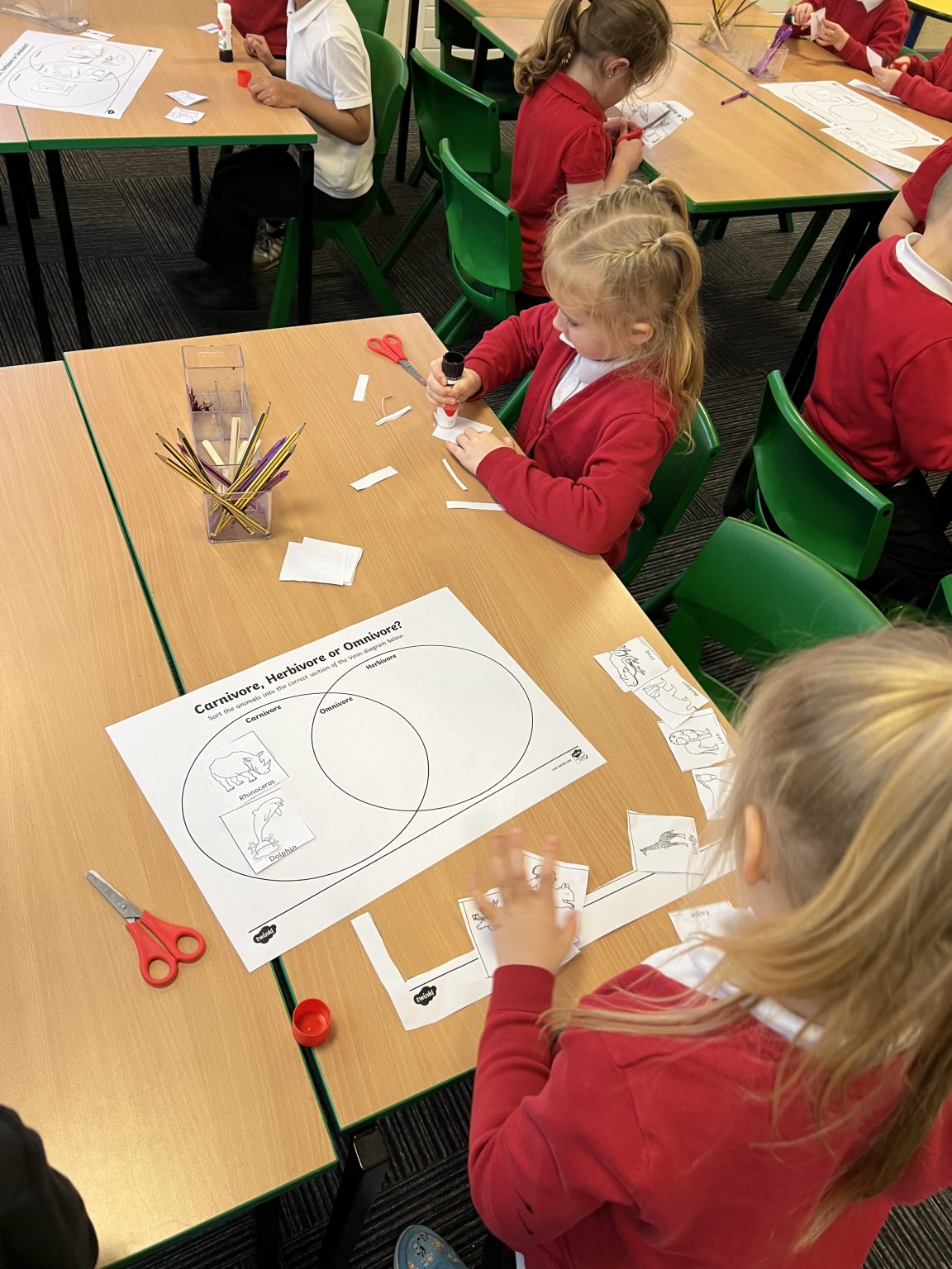 Sorting animals: carnivores, omnivores & herbivores | Carcroft School