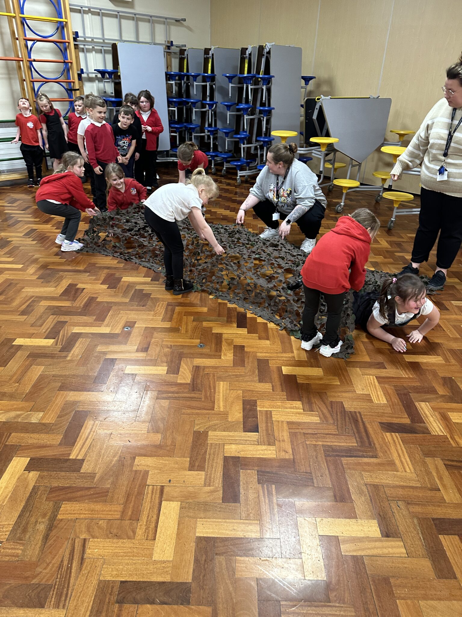 Exploring in the tree | Carcroft School