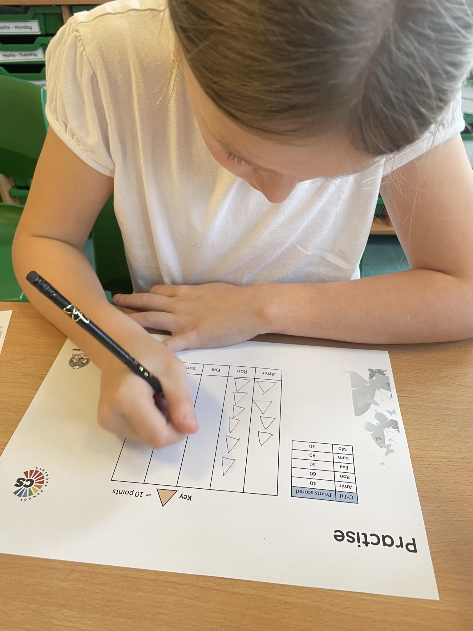 Drawing pictograms | Carcroft School