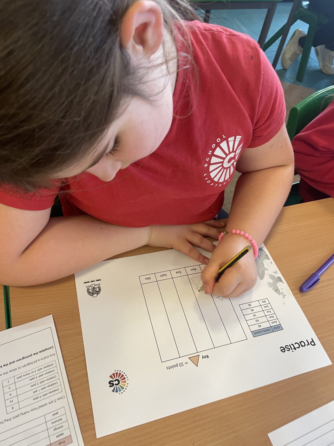 Drawing pictograms | Carcroft School