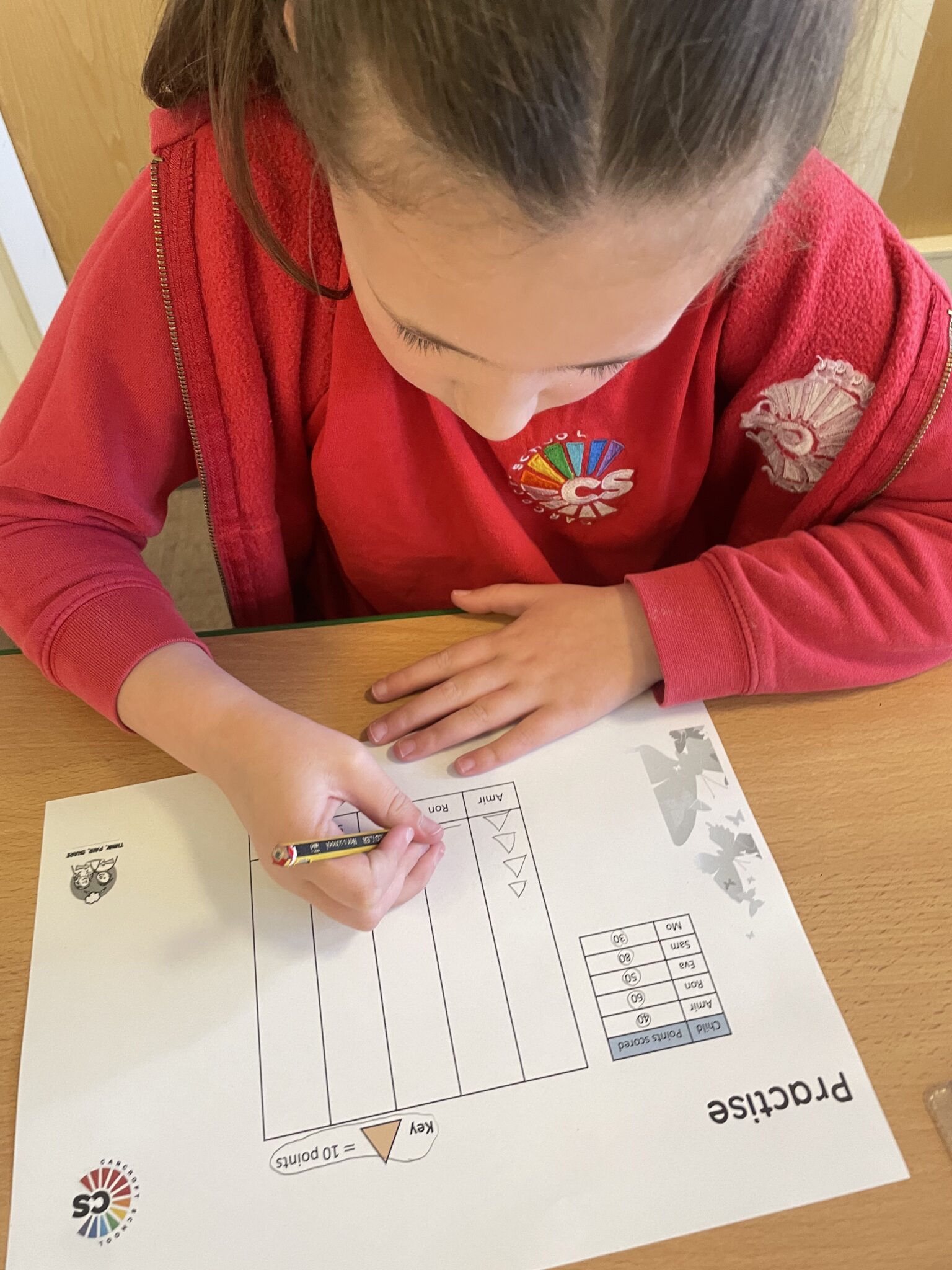 Drawing pictograms | Carcroft School