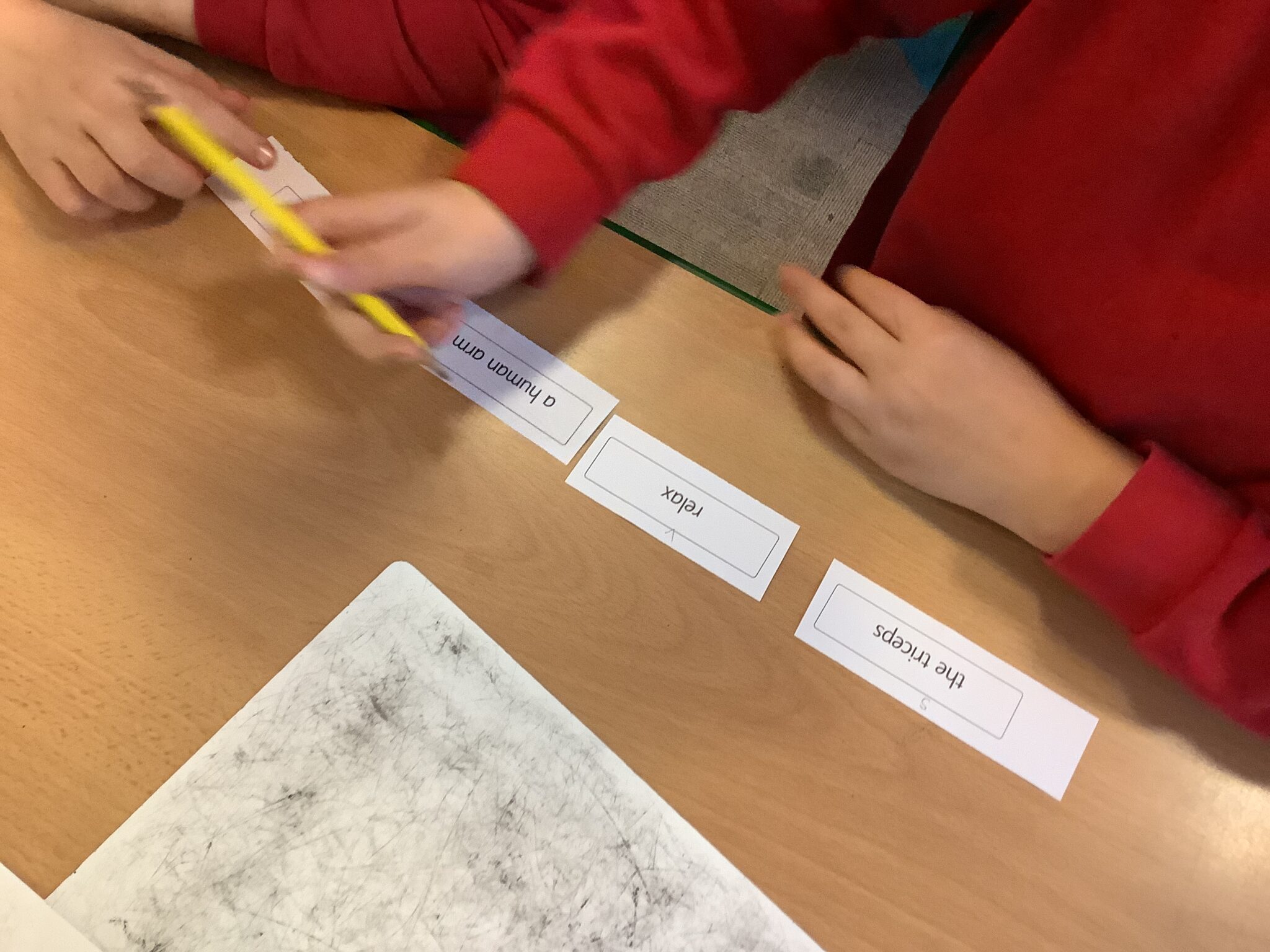 Building single clause sentences | Carcroft School
