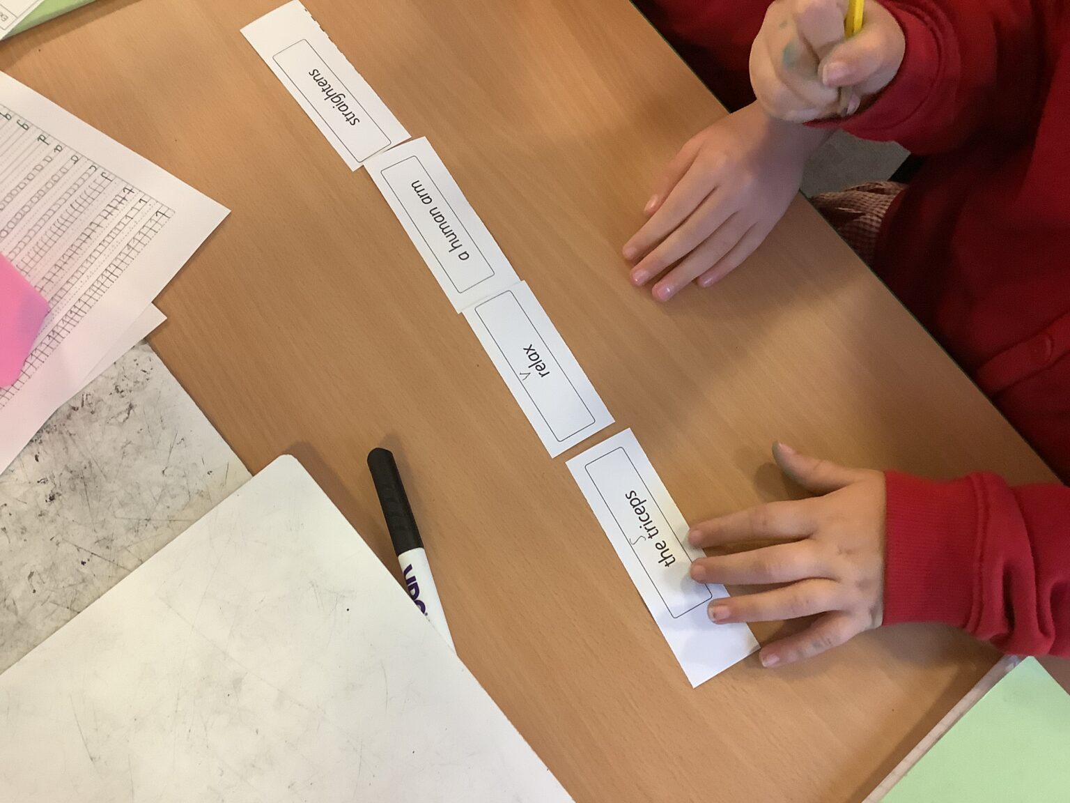 Building single clause sentences | Carcroft School