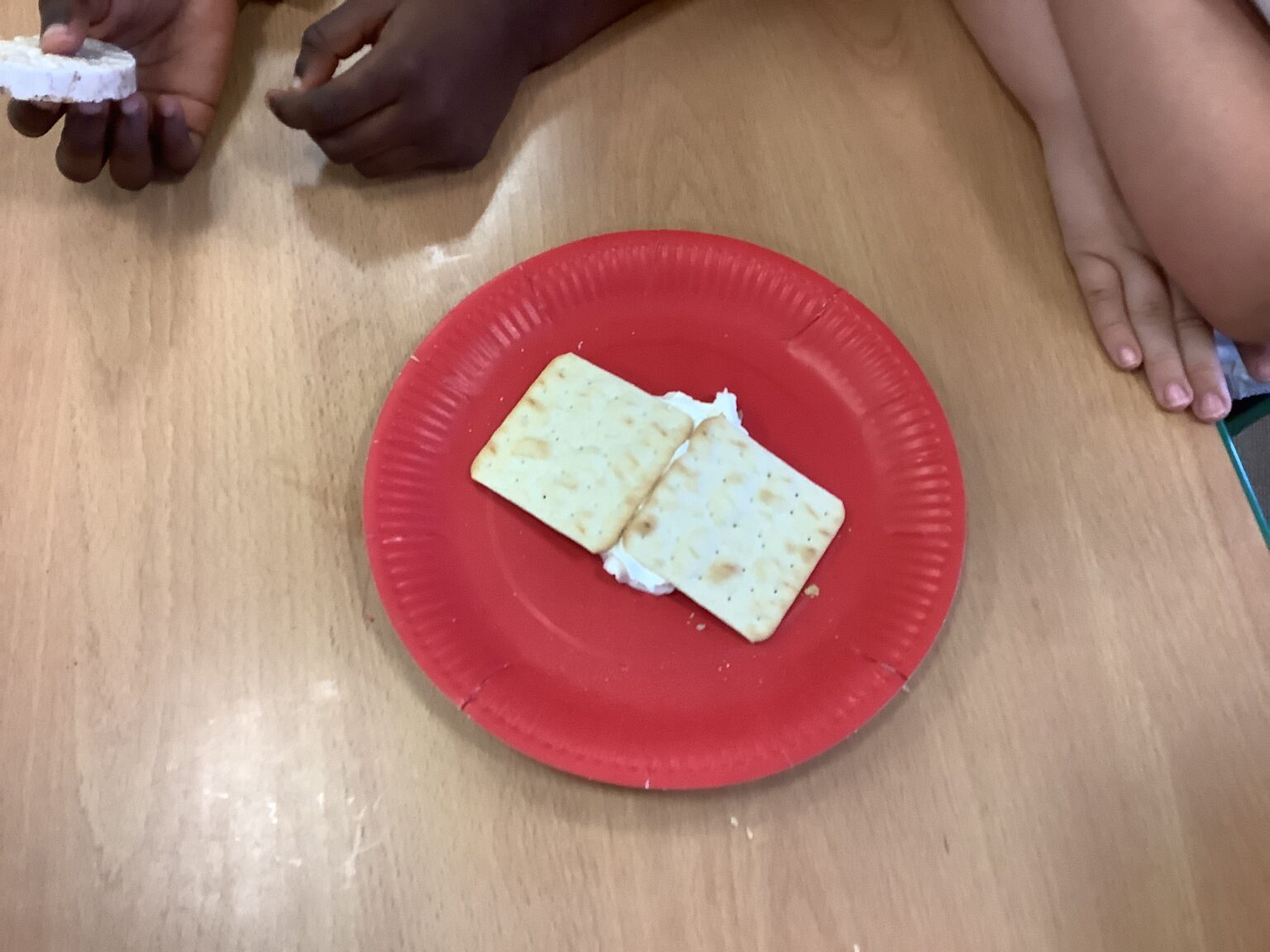 Understanding Tectonic Plates | Carcroft School