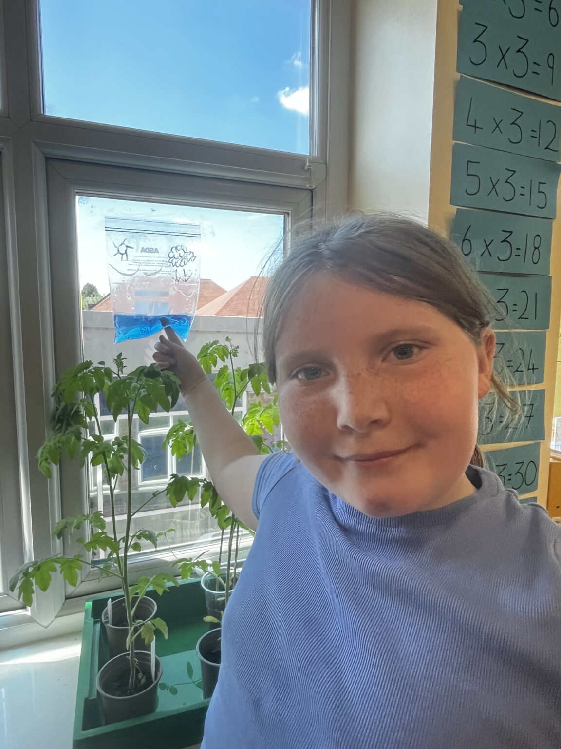 Exploring the water cycle | Carcroft School