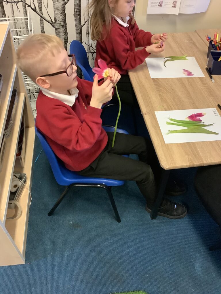 Plants in Year 1 – Carr Hill Community Primary School