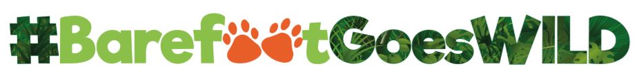 New Barefoot Resources | ICT in Schools