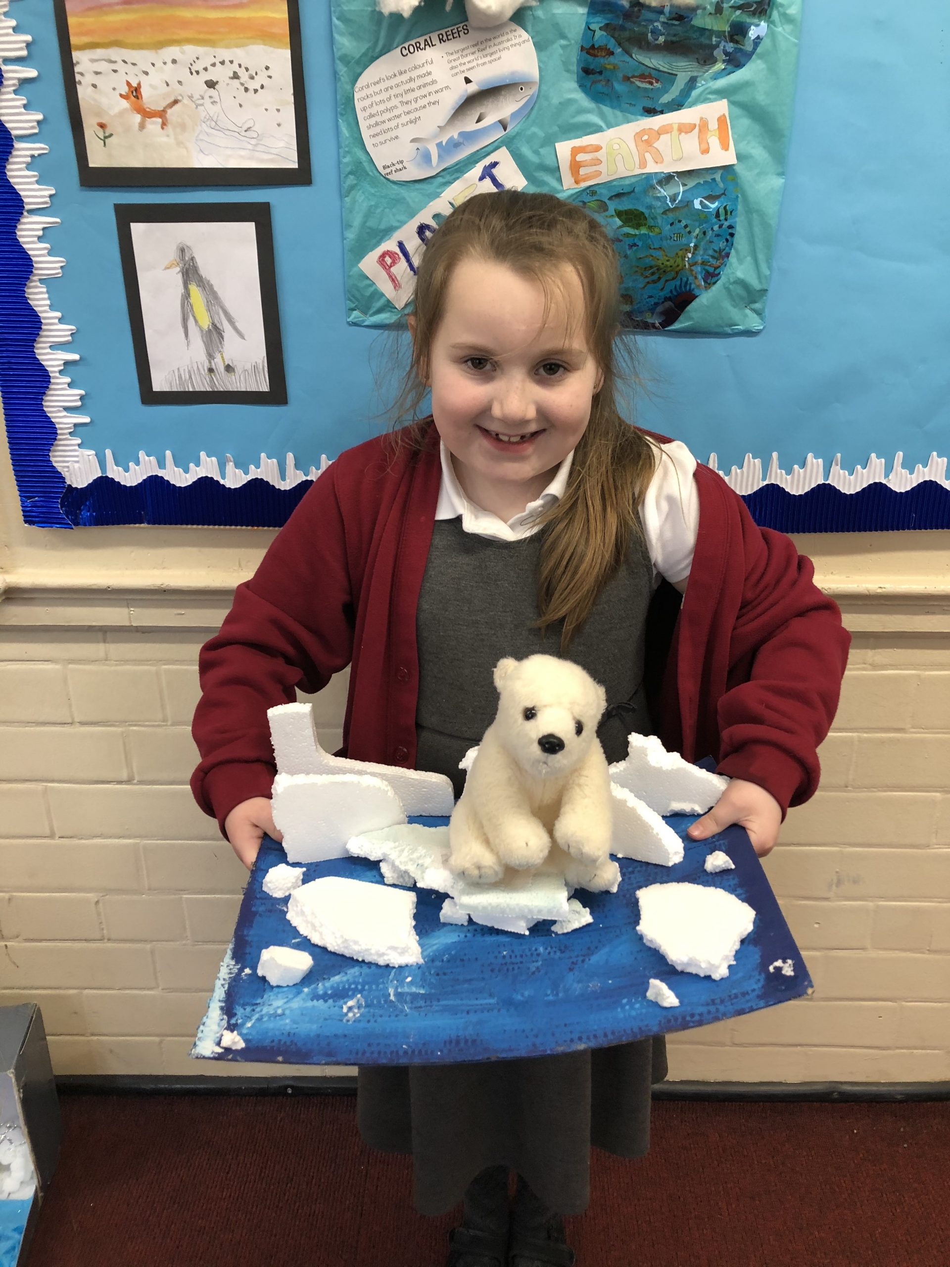 Frozen Planet | Valley View Primary School
