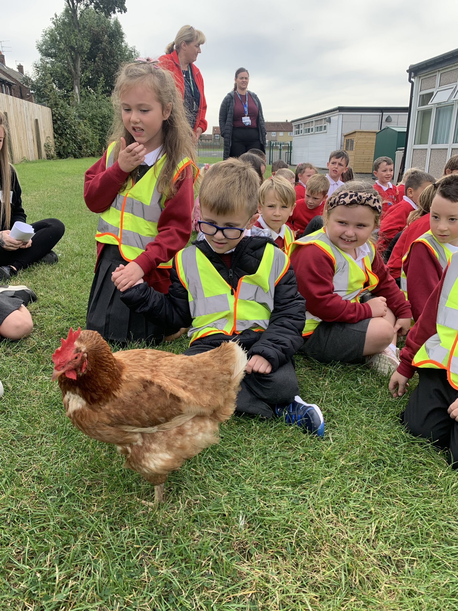 Year 2 Activities | Valley View Primary School