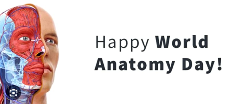 World Anatomy Day – KS2 Assembly | Dunn Street Primary School