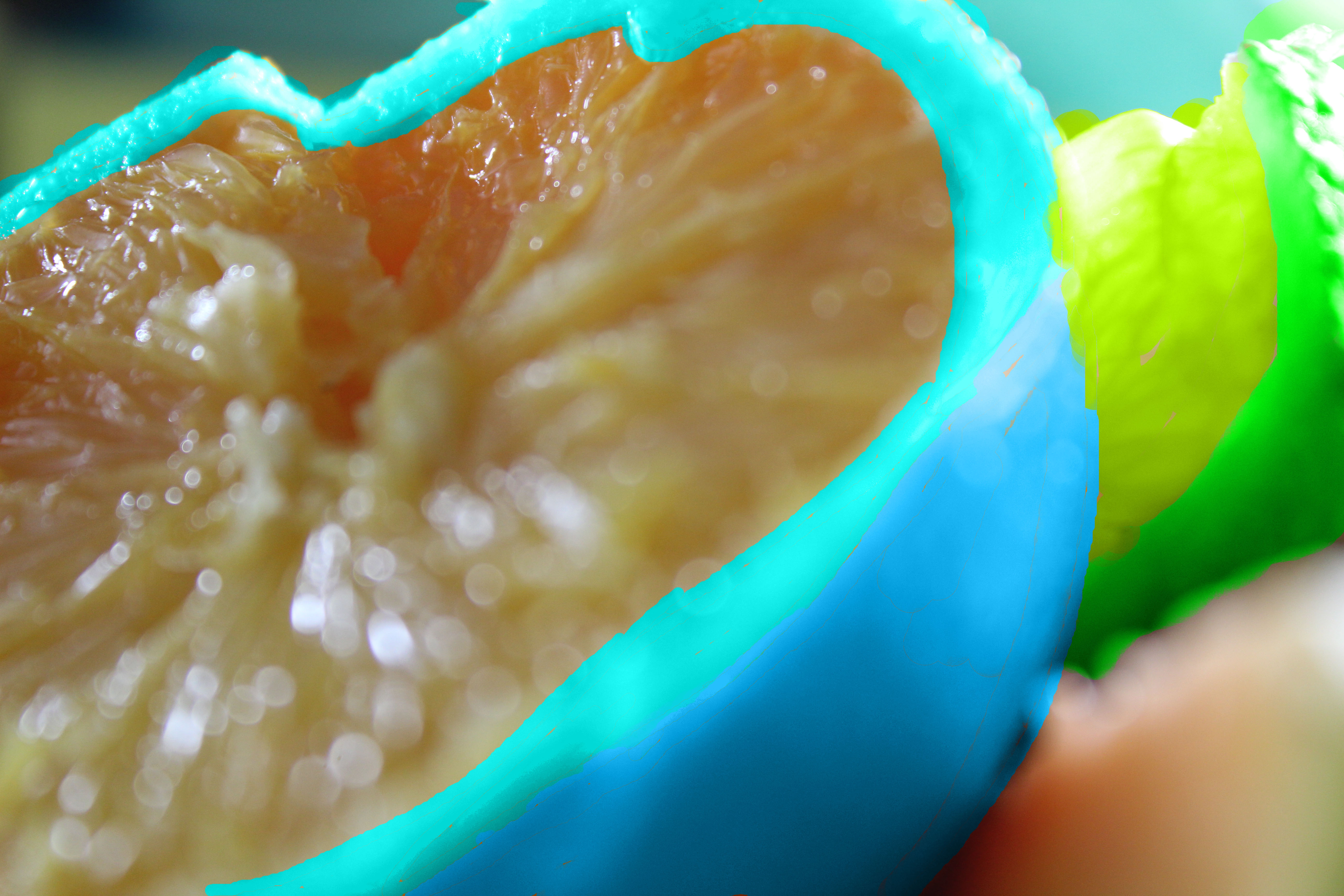 Macro Photography – Y9 | Studley High School