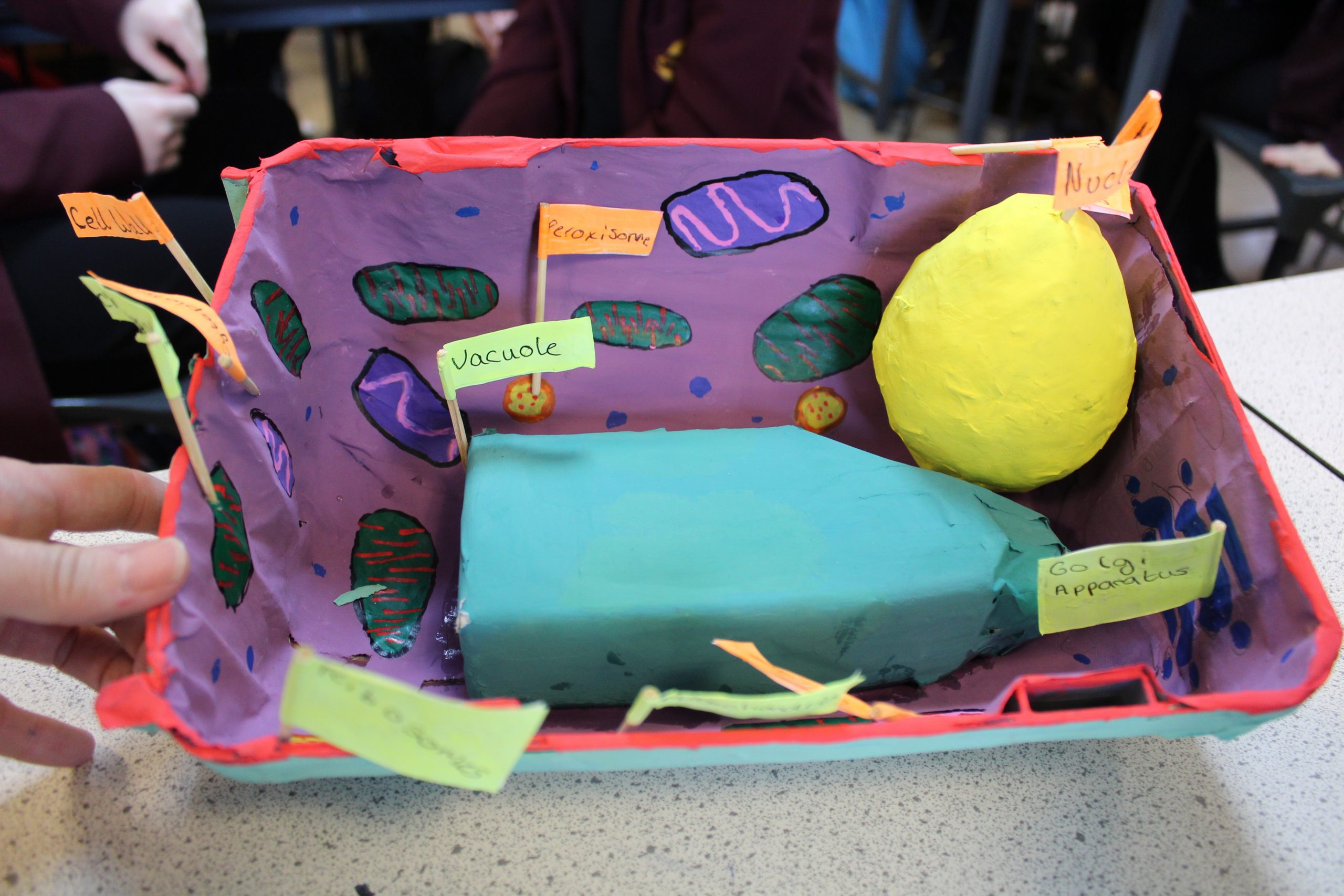 Year 7 Cell Exploration | Studley High School