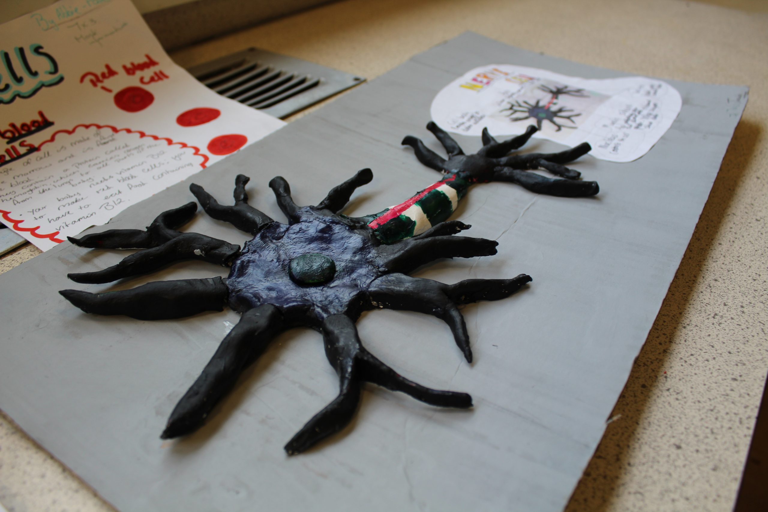 Year 7 Cell Exploration | Studley High School