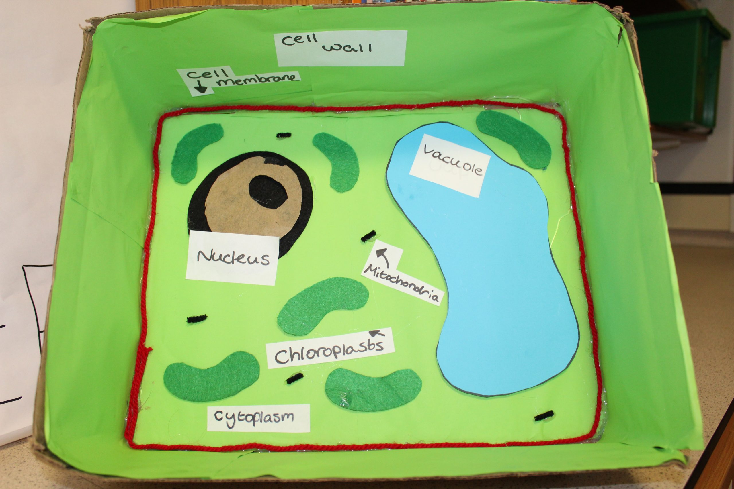 Year 7 Cell Exploration | Studley High School