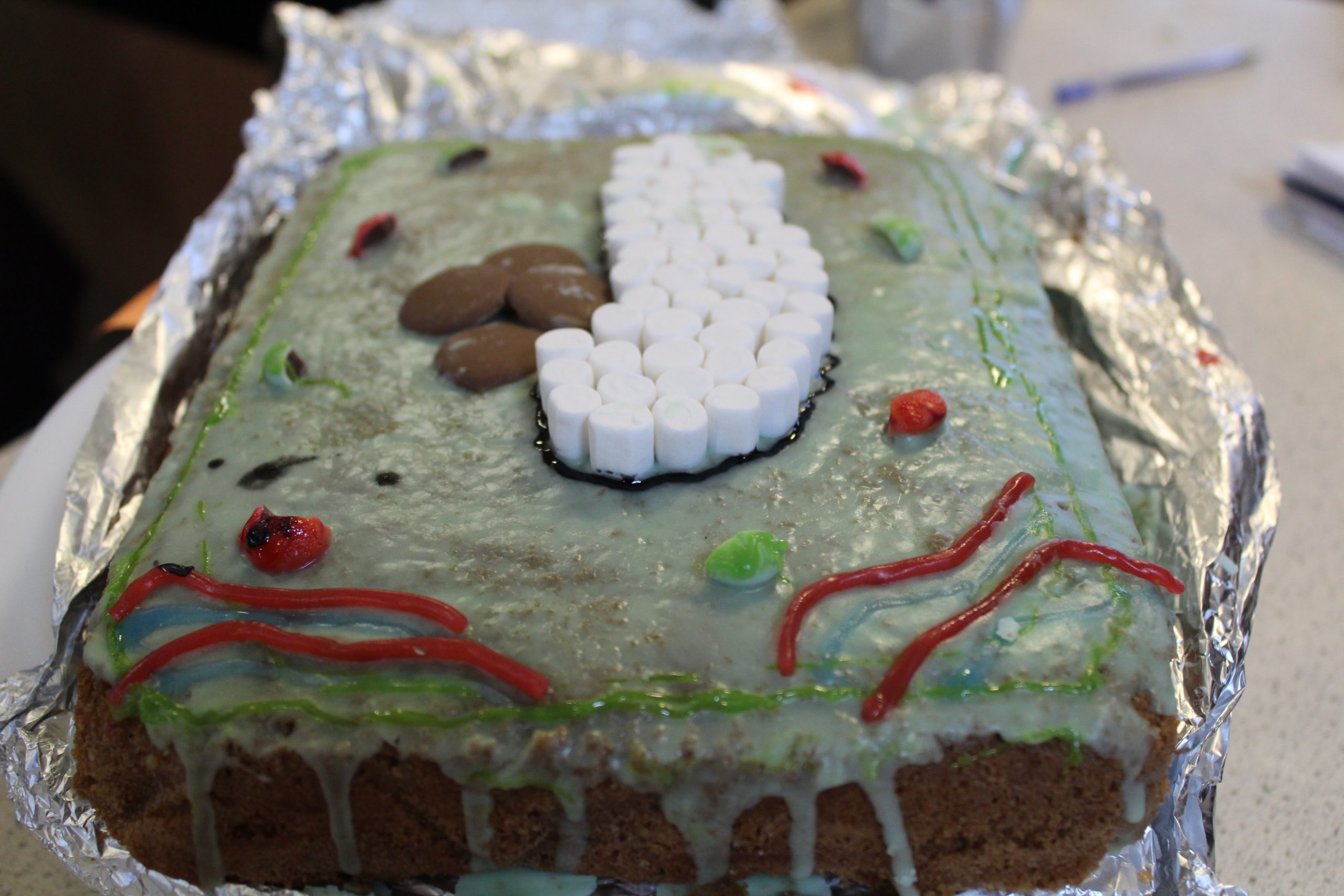 Year 7 Cell Exploration | Studley High School