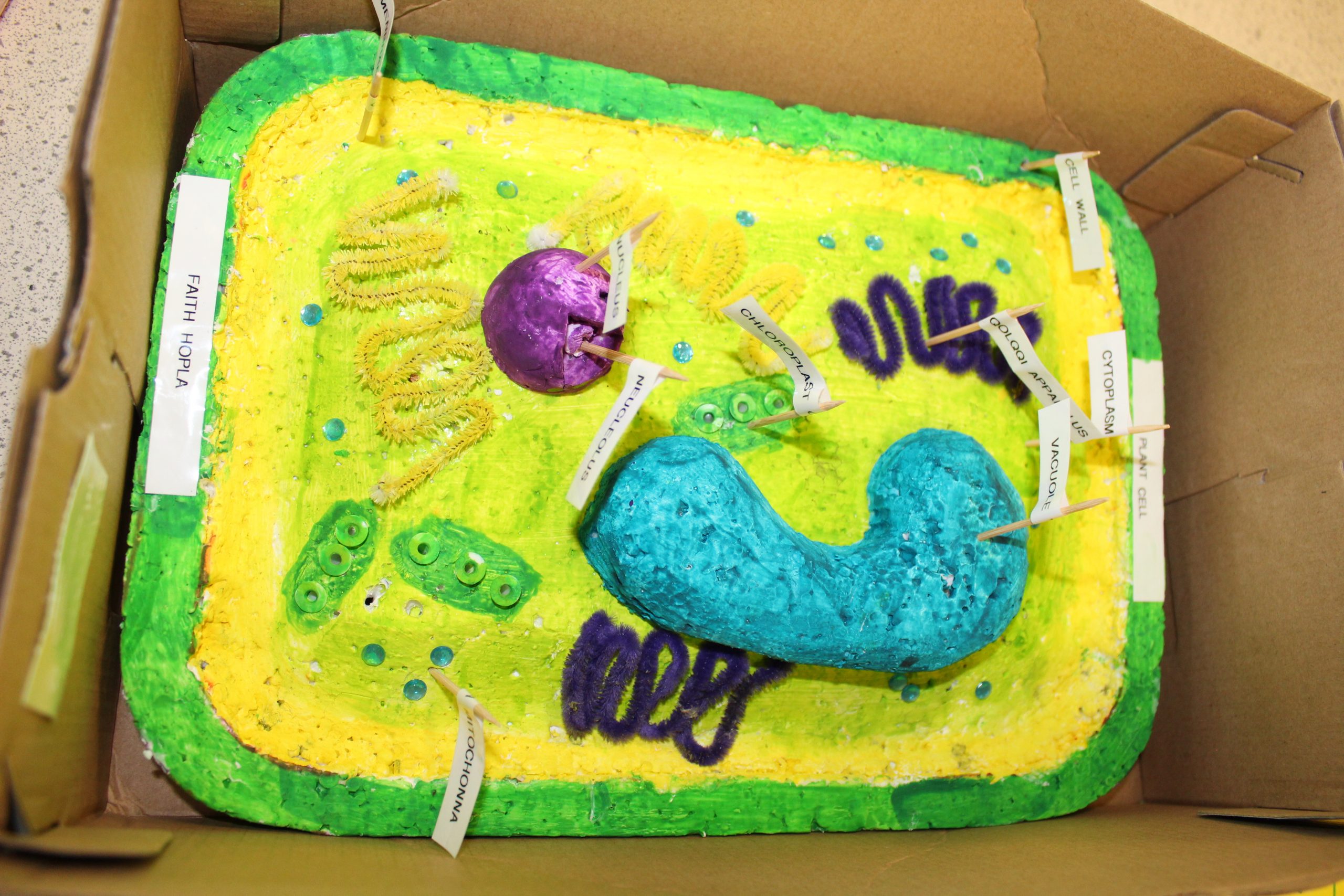 Year 7 Cell Exploration | Studley High School