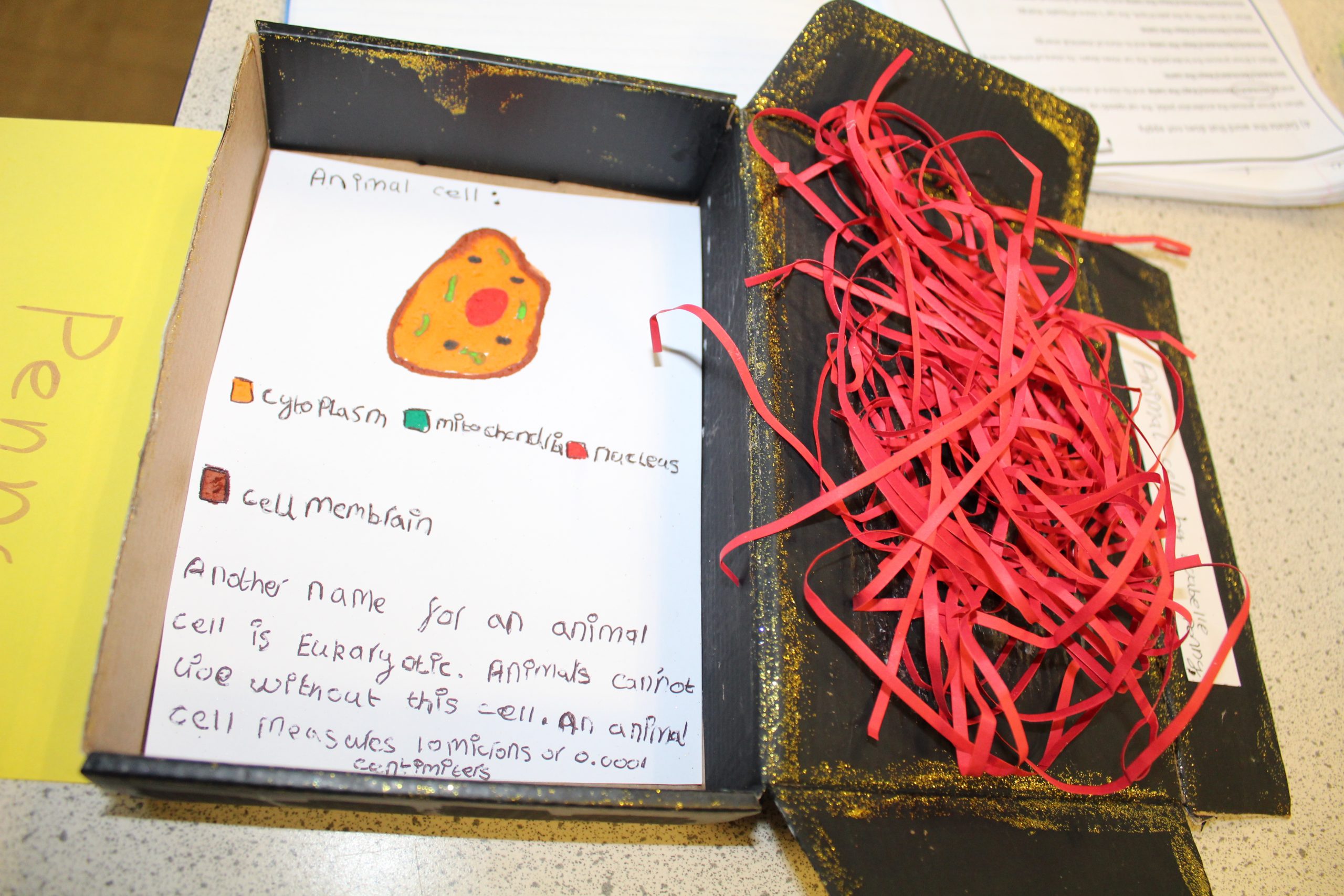 Year 7 Cell Exploration | Studley High School