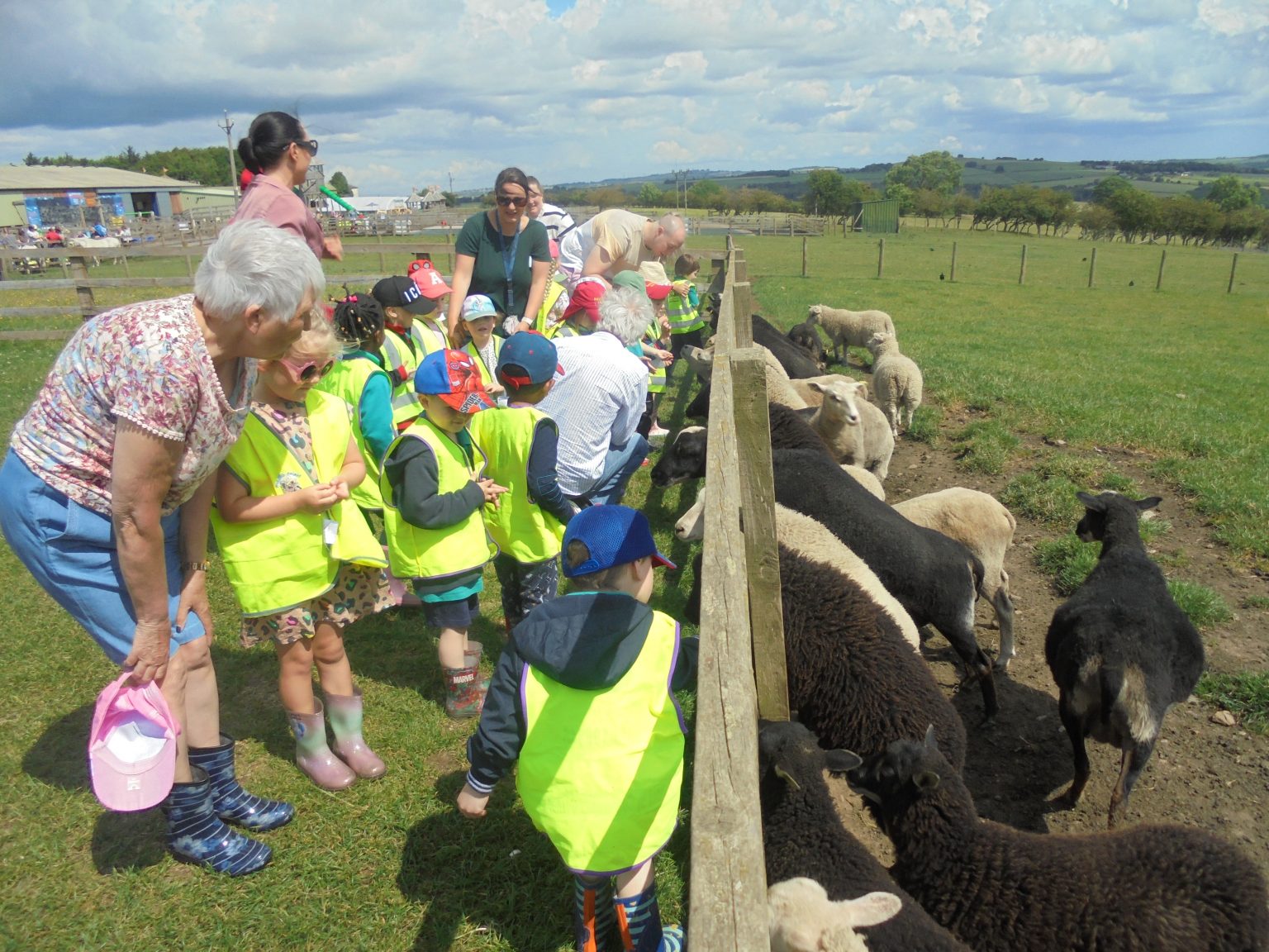 Hall Hill Farm 23 | Helen Gibson Nursery