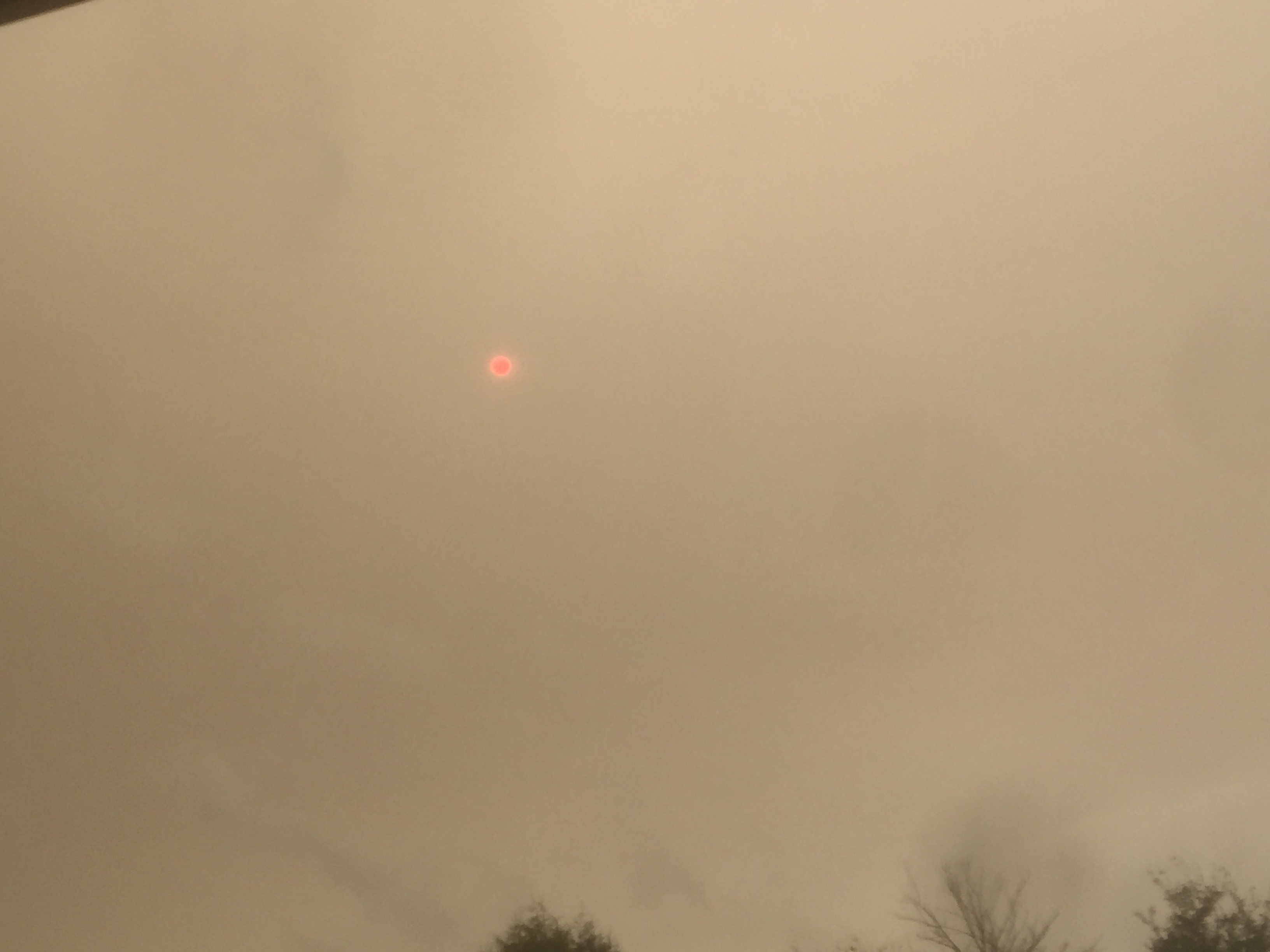 The Red Sun phenomenon! | All Souls' Catholic Primary School