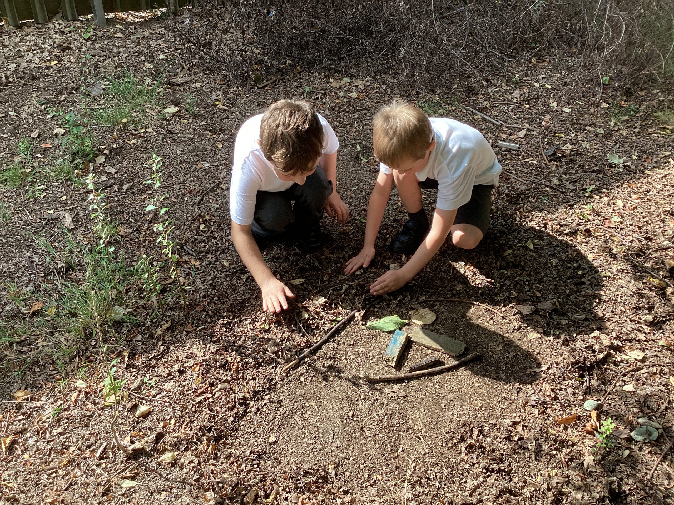 Making faces in the forest floor | All Souls' Catholic Primary School