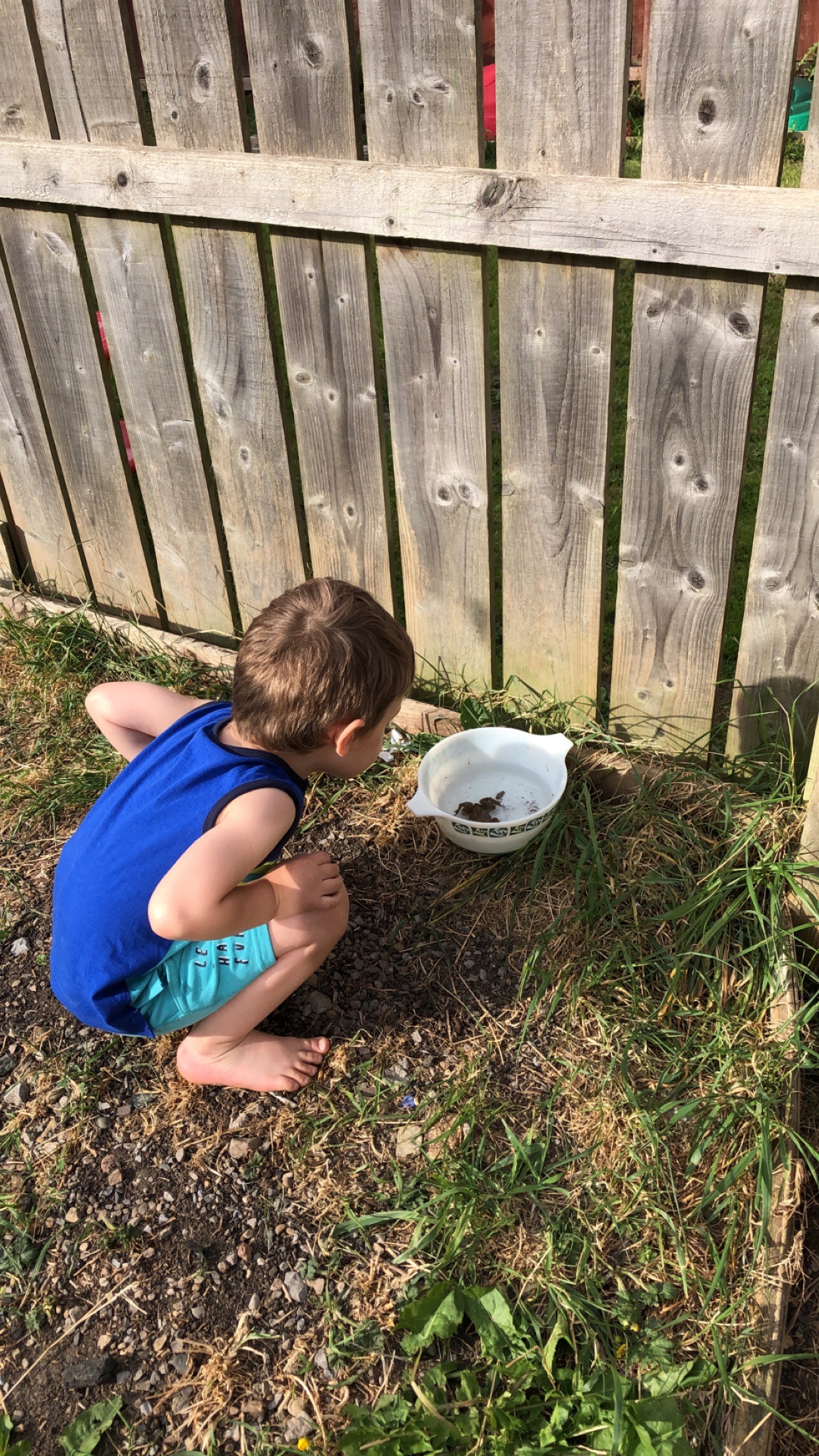 Caring Tyler | Marsden Primary School