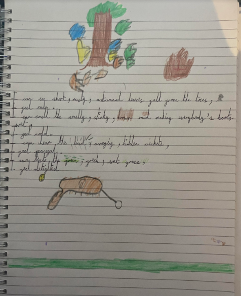 Scarlett’s Forest Poem | Marsden Primary School