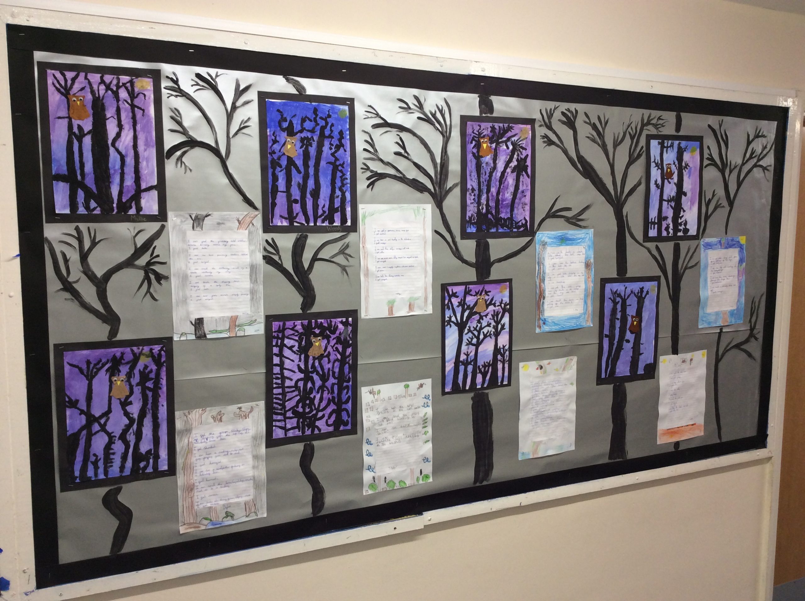 Forest Poetry | Marsden Primary School