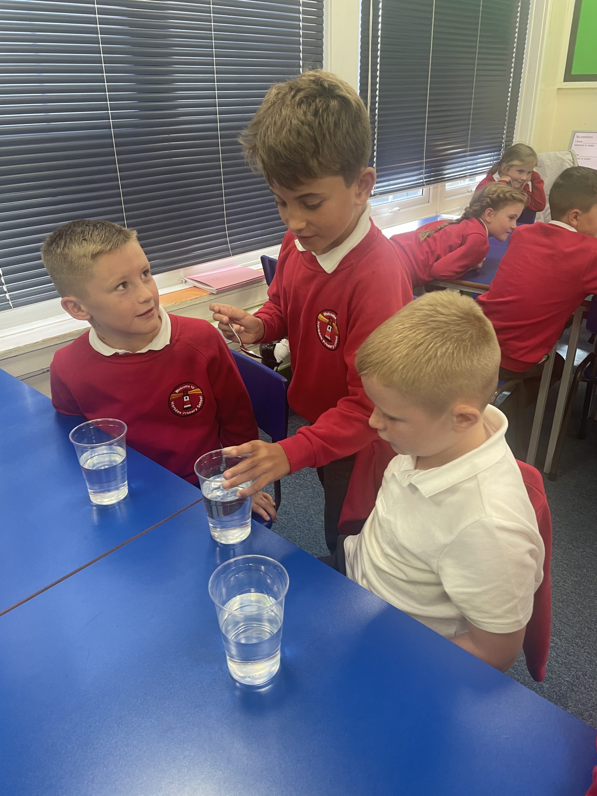 Year Five Science | Marsden Primary School