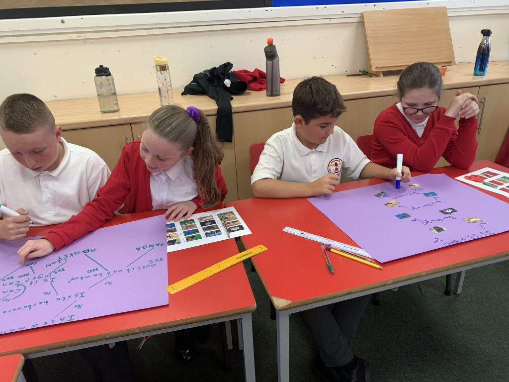 Year 6 Classification | Marsden Primary School