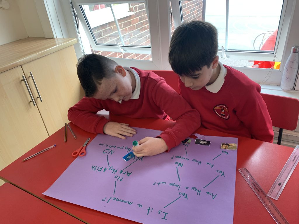 Year 6 Classification | Marsden Primary School