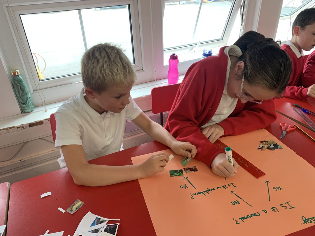 Year 6 Classification | Marsden Primary School